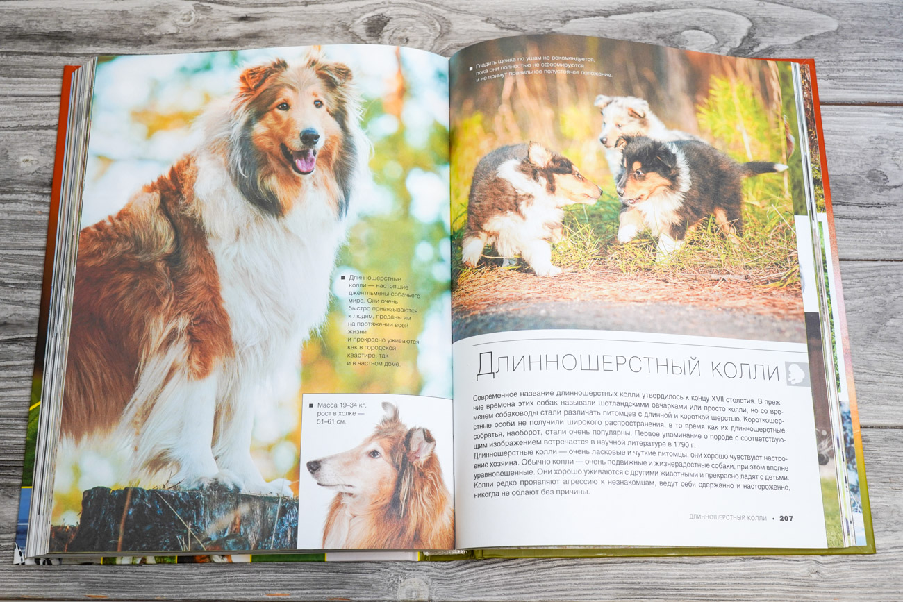 «Большая книга о кошках и собаках. 1001 фотография» Барановская Ирина ...